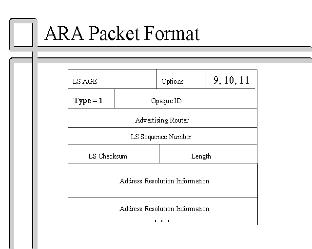 ARA Packet Format